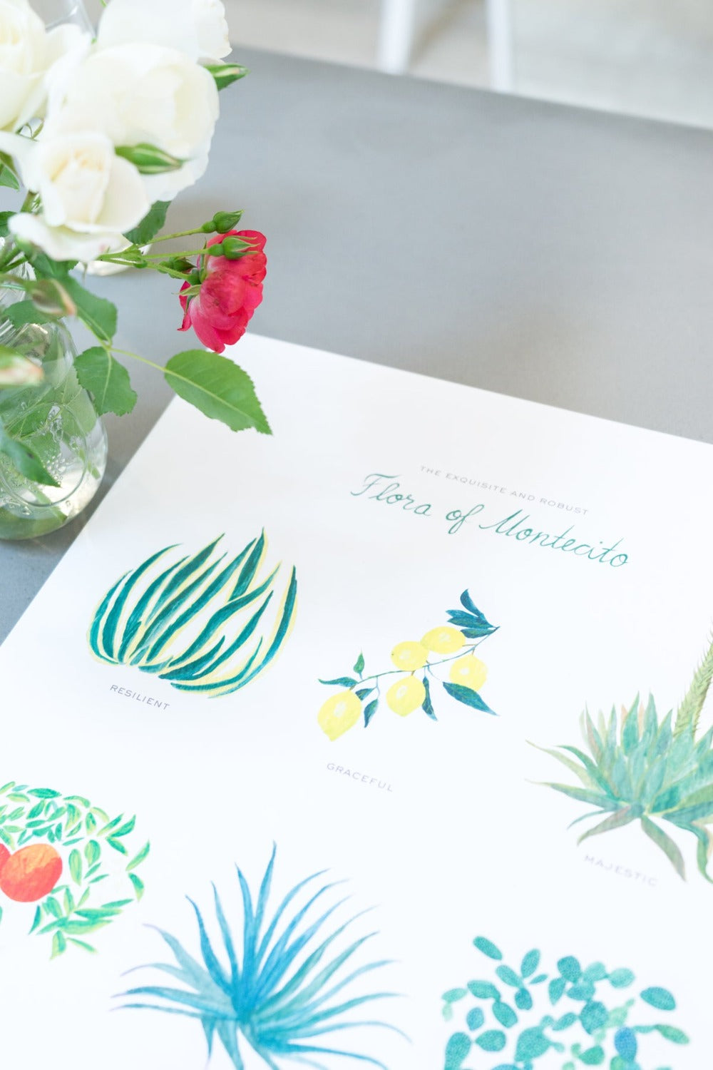 Flora of Montecito Print – Olivia Joffrey